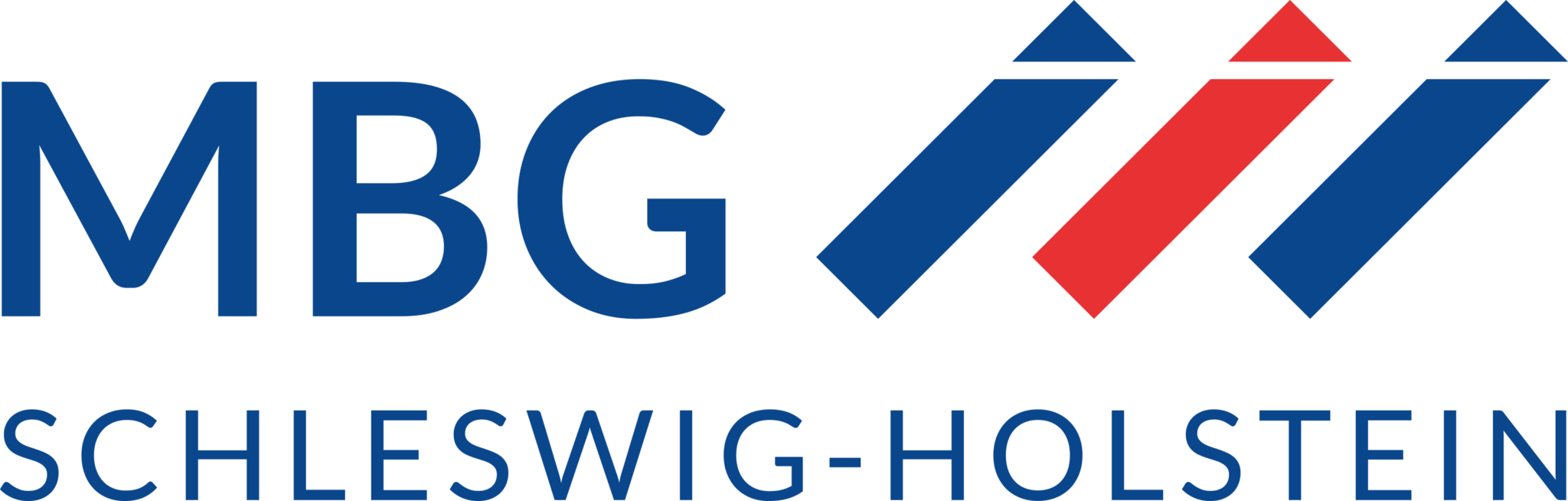 Online-Beratung durch Pferdetierärzte namhafter Kliniken u. Praxen